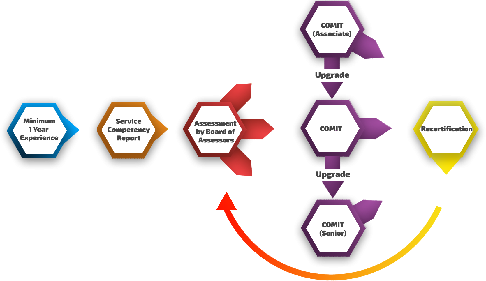 Certification in Outsourcing Management for IT (COMIT) Application ...