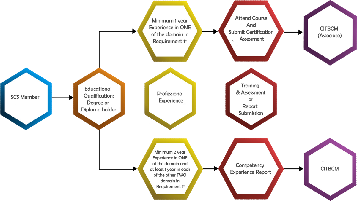 Certification in Business Continuity Management (CITBCM) Criteria ...